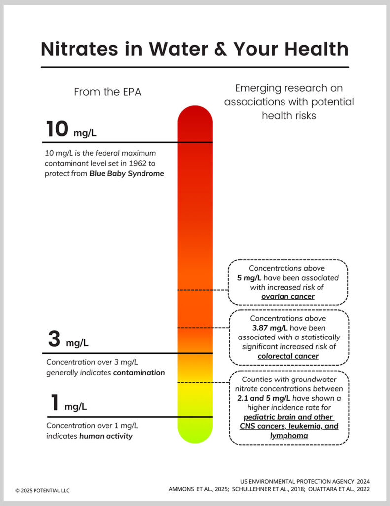 Nitrates in Water and Health Risks • OT Potential